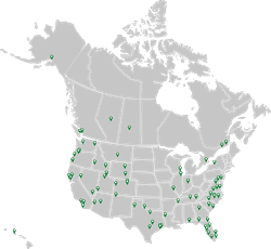 Find Services in Your Area